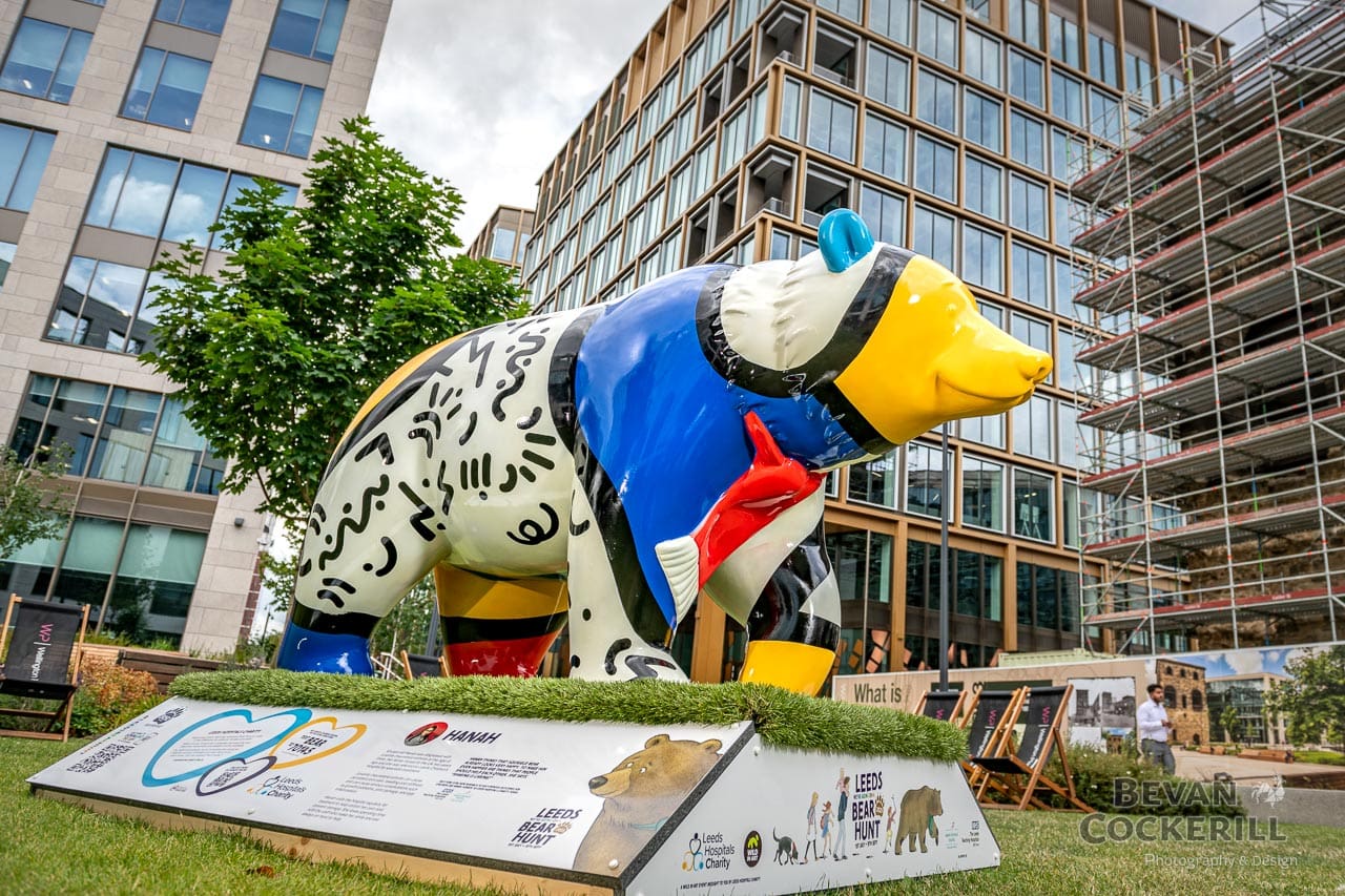 Photos of Artist Ben Holden & his Leeds Bear Hunt - Squiggle