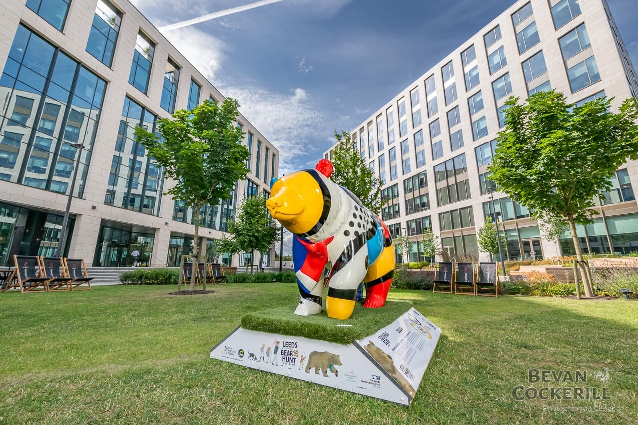 Photos of Artist Ben Holden & his Leeds Bear Hunt - Squiggle