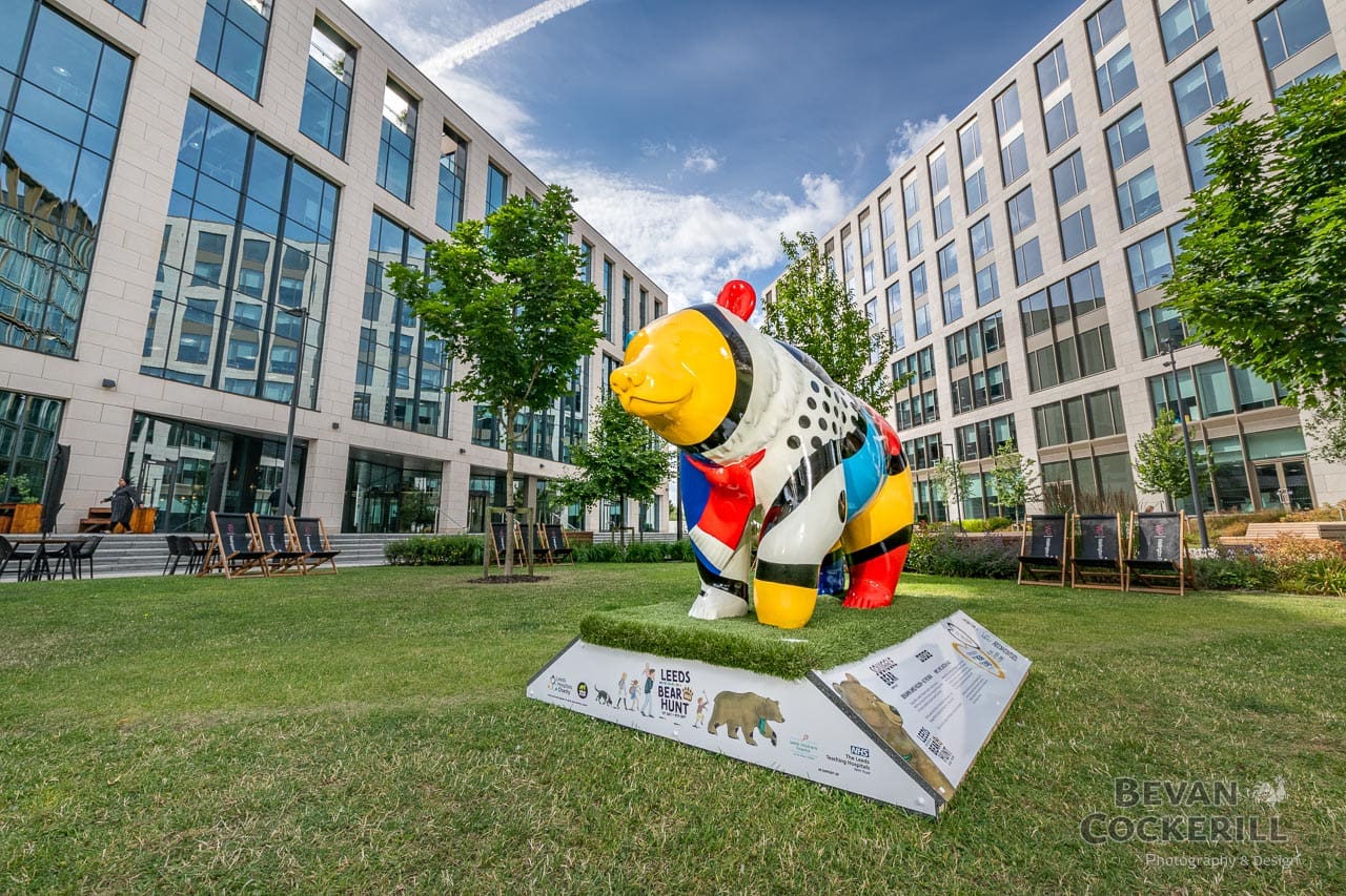 Photos of Artist Ben Holden & his Leeds Bear Hunt - Squiggle