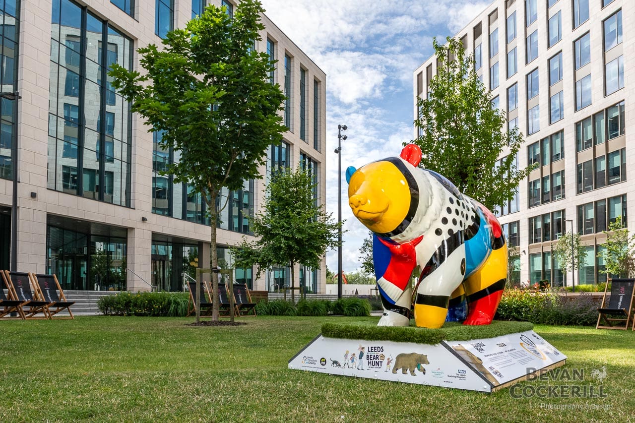 Photos of Artist Ben Holden & his Leeds Bear Hunt - Squiggle