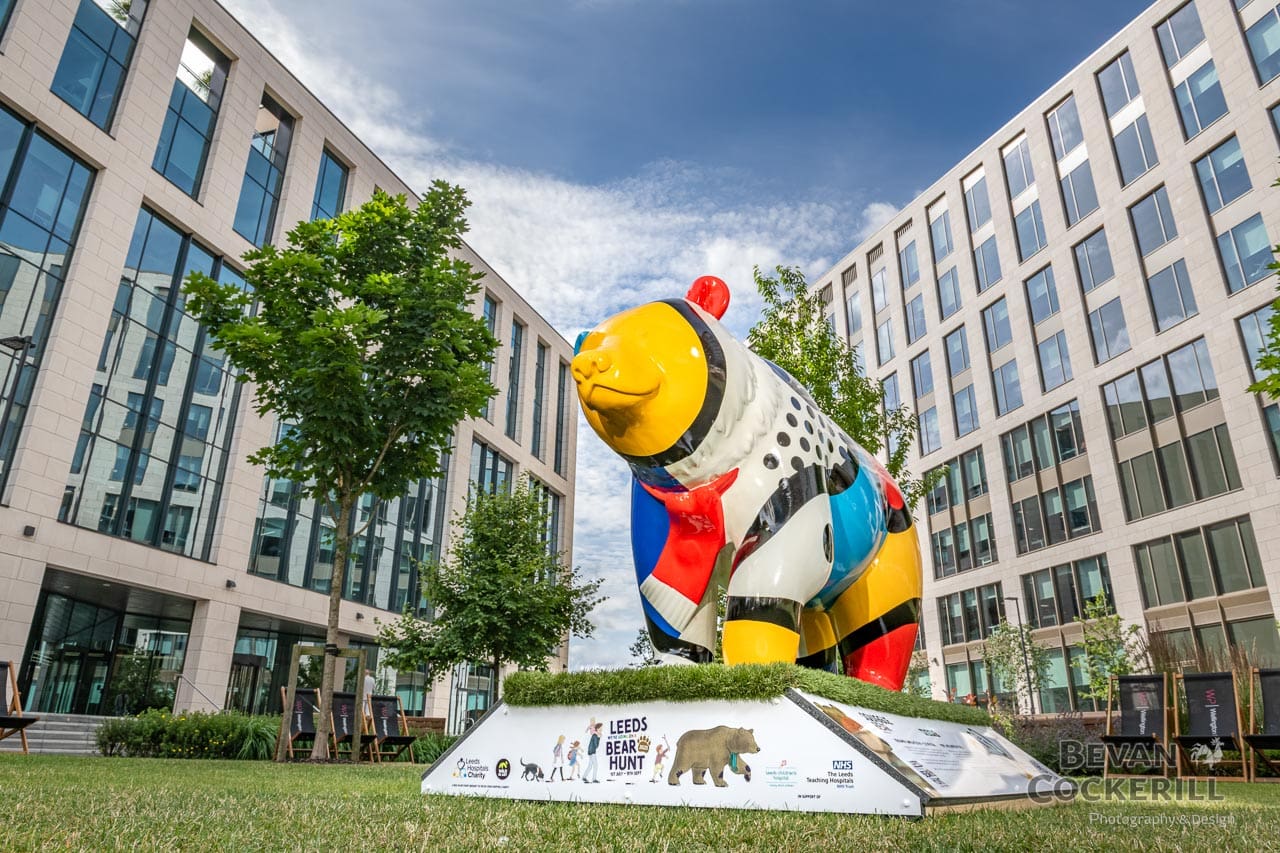 Photos of Artist Ben Holden & his Leeds Bear Hunt - Squiggle