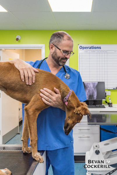 White Cross Vets - Sheffield Virtual Tour & Commercial Photographs ...